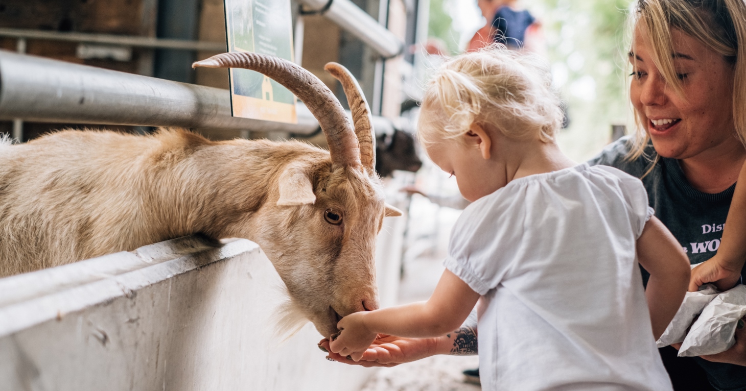Cattle Country Farm Park family days out in Berkeley